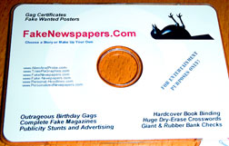 Mini Cd Business Card – TrixiePixGraphics